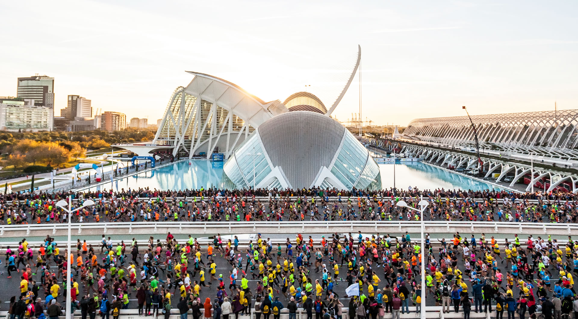 Maratón Valencia Trinidad Alfonso EDP | 1 diciembre 2019
